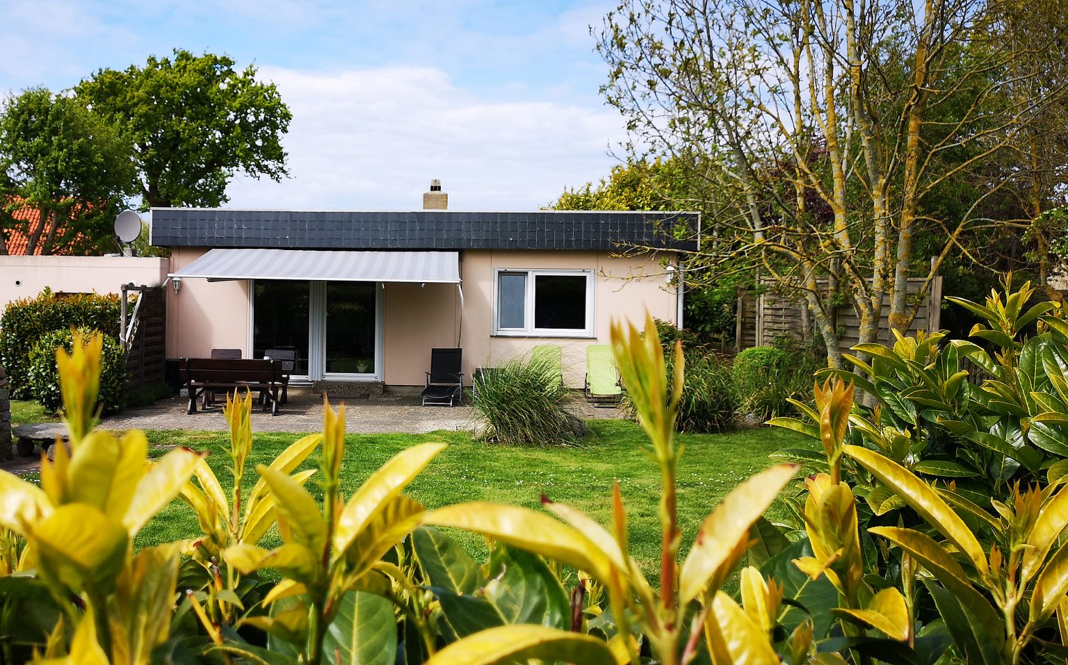 Ferienhaus Mit Hund Fehmarn